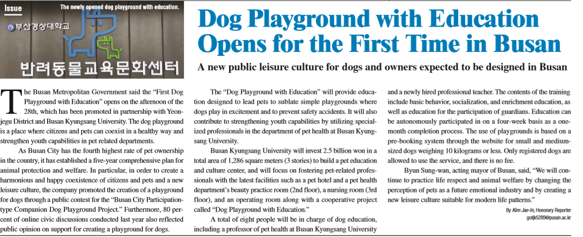 Dog Playground with Education Opens for the First Time in Busan