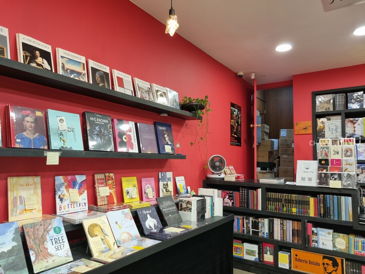 The Season of Reading, Unique Local Bookstores
